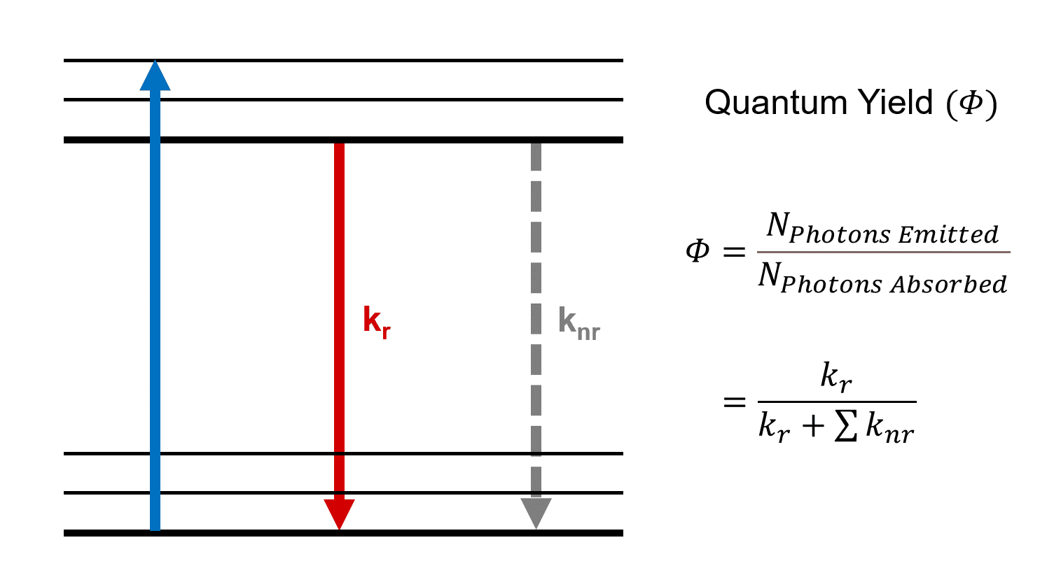 What Is Quantum Yield Fluorescence Measuring Quantum Yield What Is Quantum Yield Fluorescence Measuring Quantum Yield