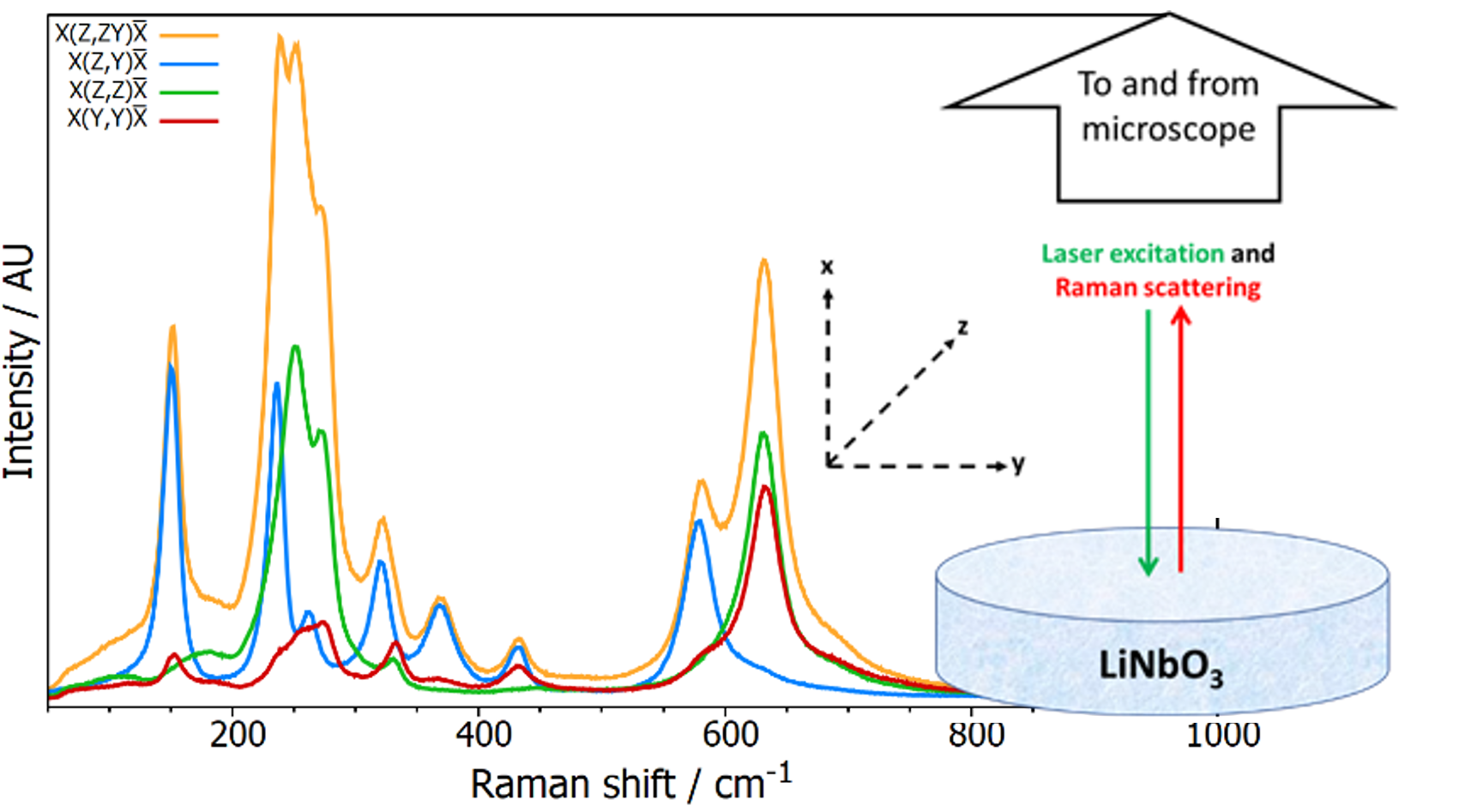 Polarised Raman Spectroscopy Polarisation Of Light polarised-raman-spectroscopy-polarisation-of-light