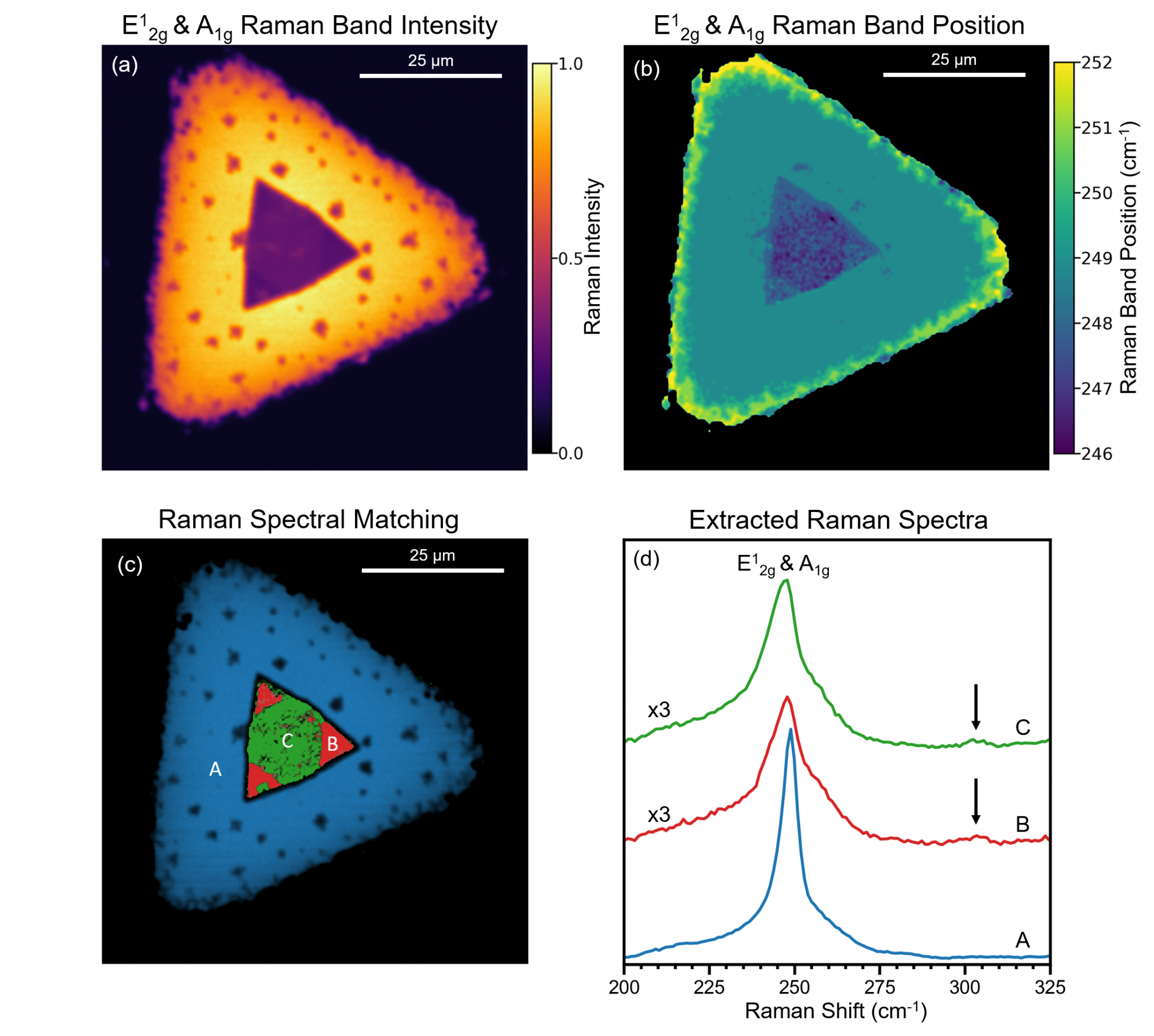 Multimodal Imaging Transition Metal Dichalogenides Raman