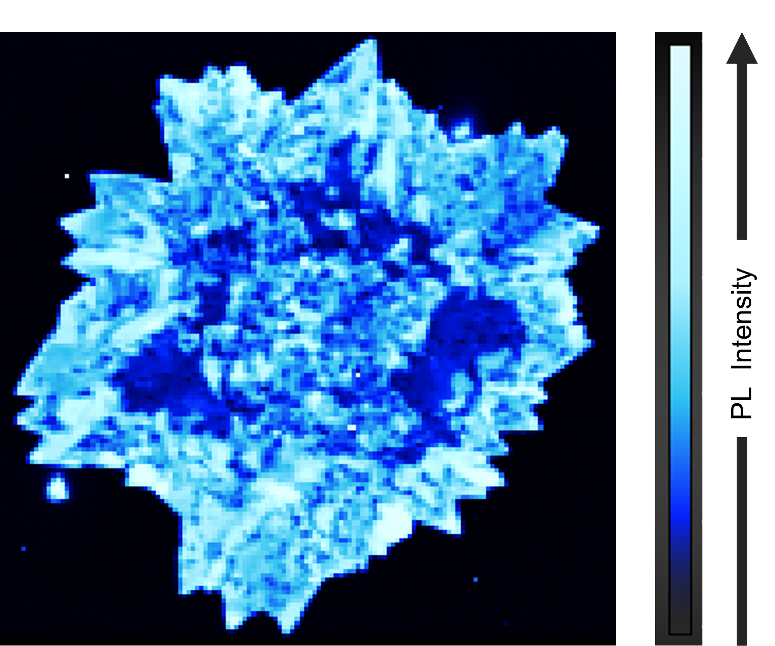 Map of the Month – Imaging Tungsten Disulfide | Edinburgh Instruments