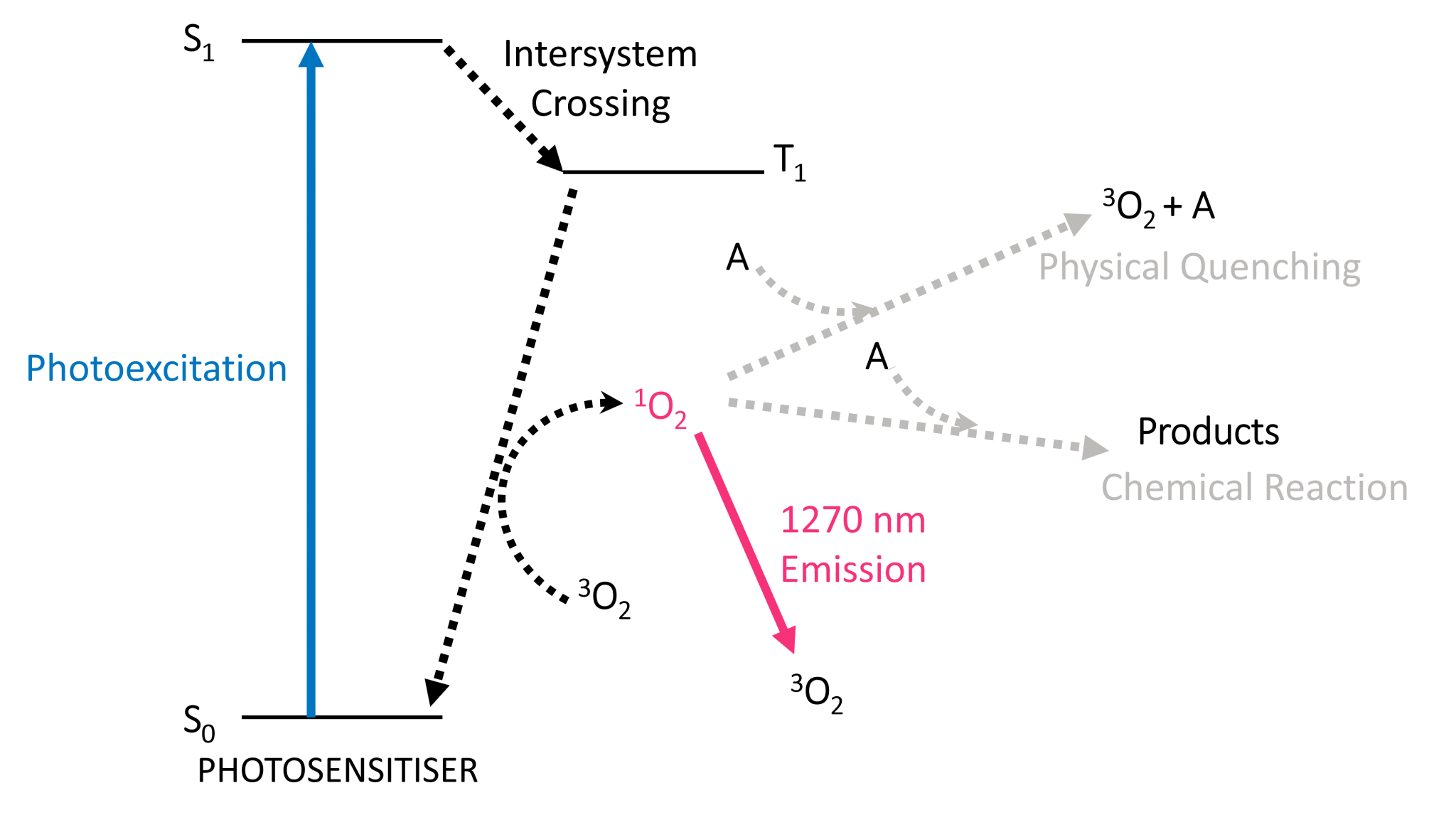 Detection of Singlet Oxygen | Edinburgh Instruments