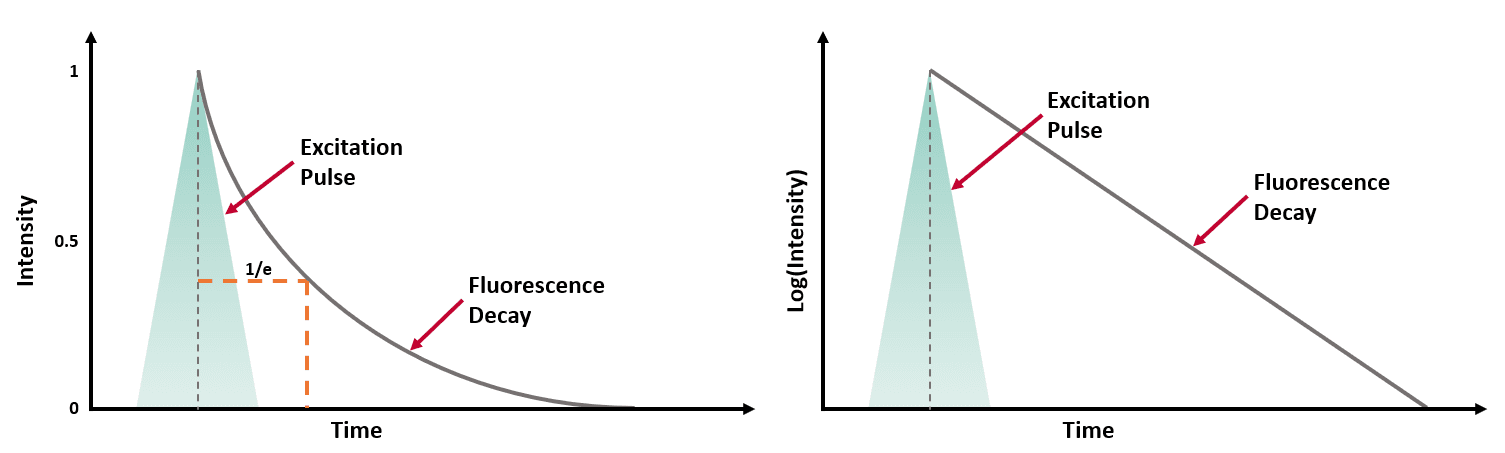 What is Fluorescence Lifetime? - Edinburgh Instruments