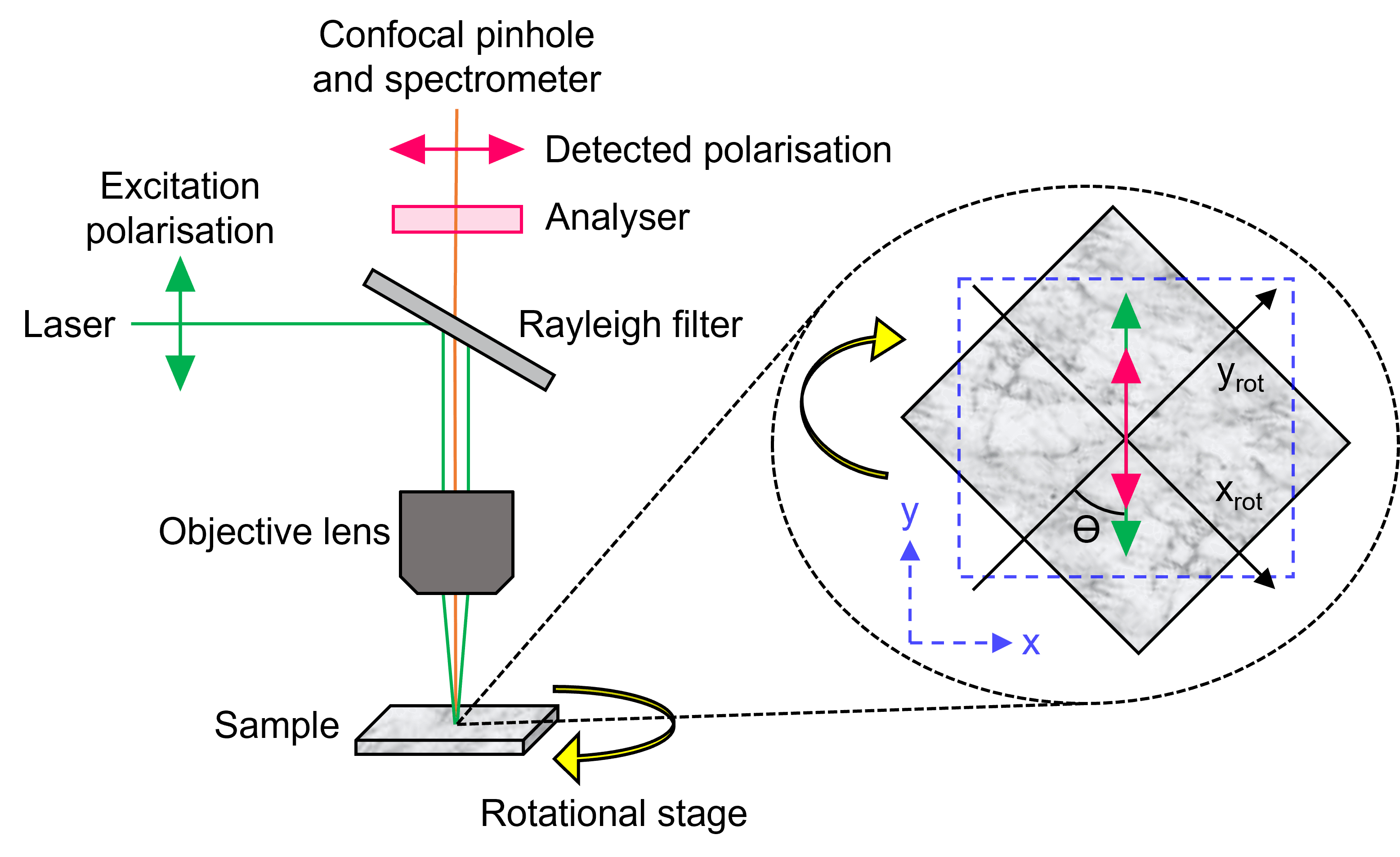 Angle-Resolved Polarised Raman Microscopy for Determining the ...